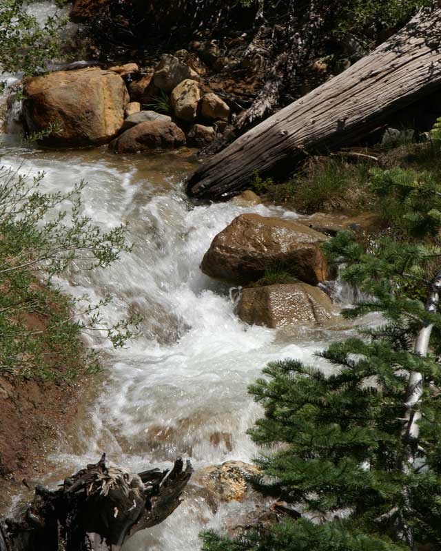 Gallery – Dane Wilson