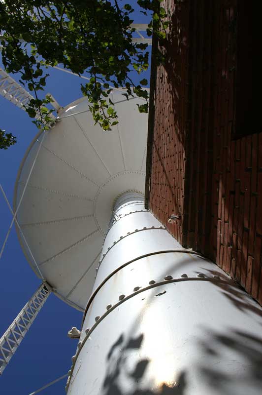 Gallery – Dane Wilson