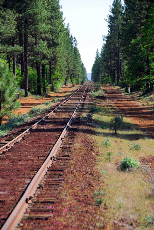 Gallery – Dane Wilson