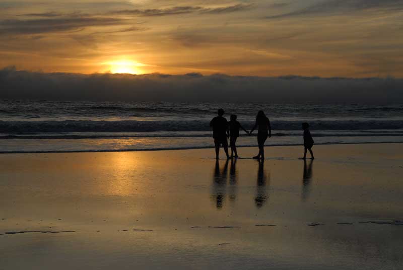 Gallery – Dane Wilson