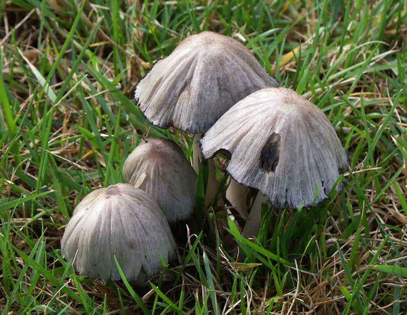 Gallery – Dane Wilson